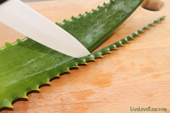 How to cut and what to do with aloe vera - Live Love Raw
