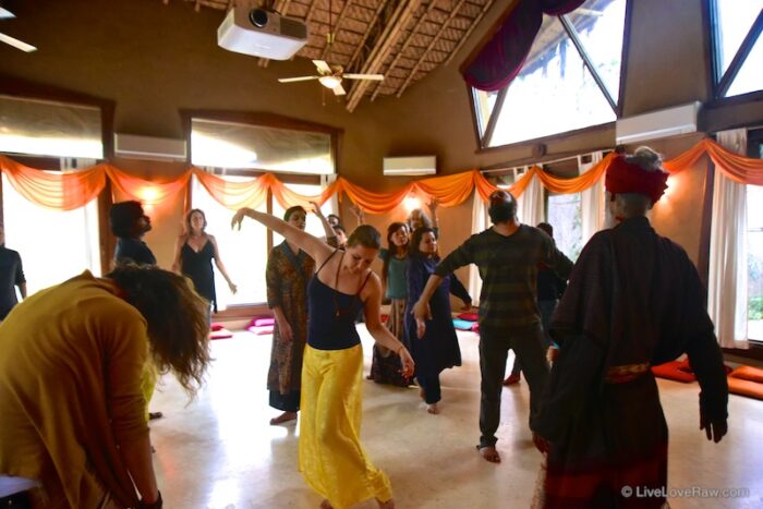 Whats all the hype about ecstatic dance? - Live Love Raw